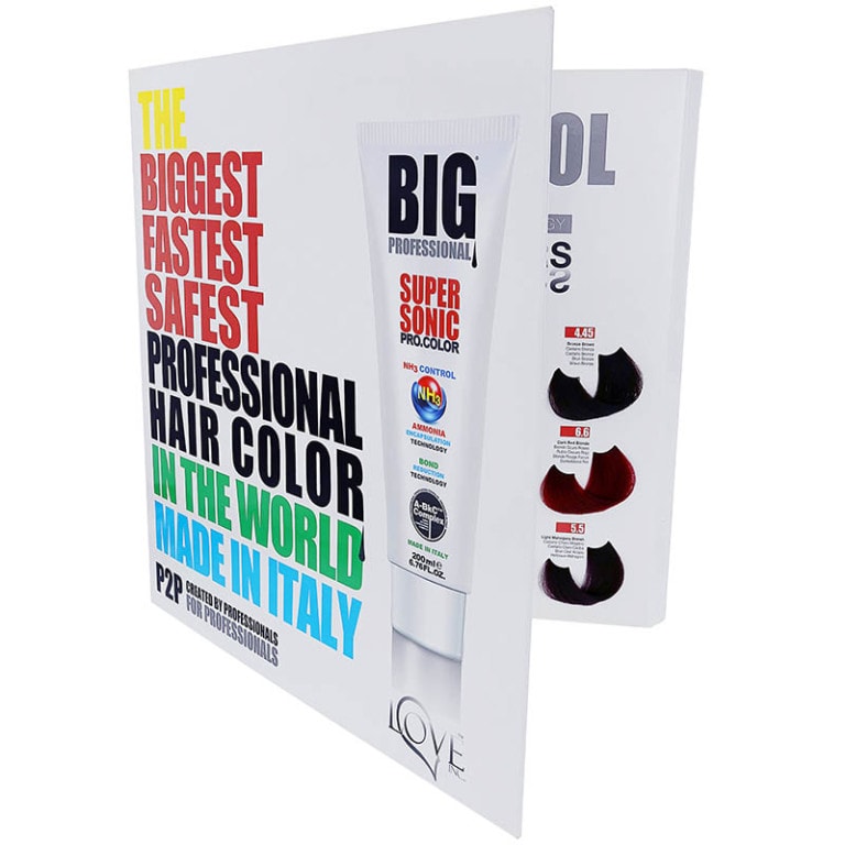 BIG Professional Color Chart - Hair Health & Beauty